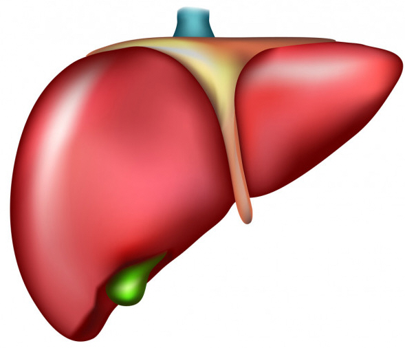 Partners Advanced Liver Imaging – Advanced Liver Imaging Workup using MRI